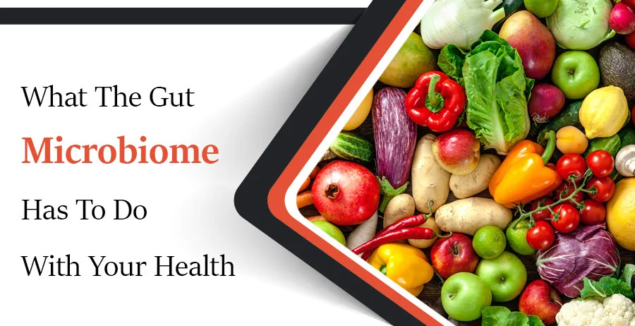 How Your Gut Microbiome Affects Your Health